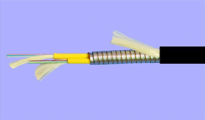 Qu'est-ce qu'un câble en fibre optique armé ? - ZMS Cable Fr