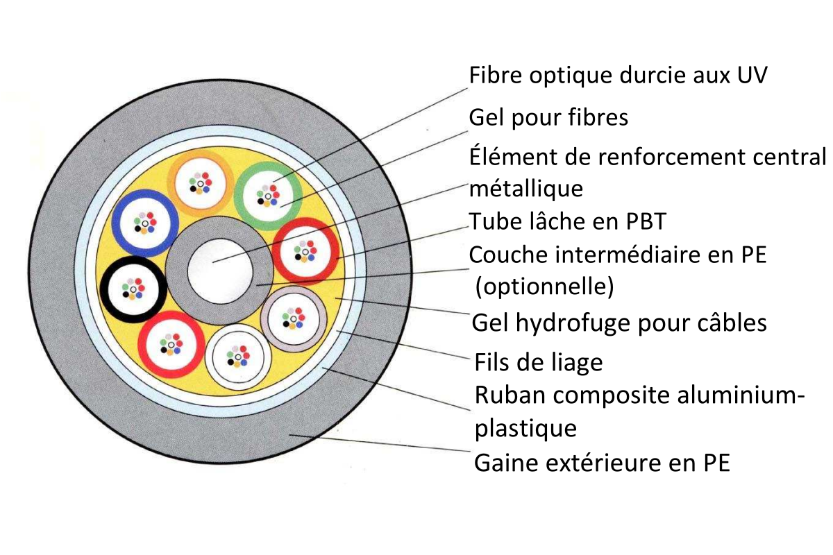 Câble à fibre optique armé